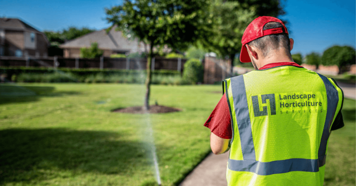 3 Really Big Reasons You Should Hire a Commercial Landscape Design ...