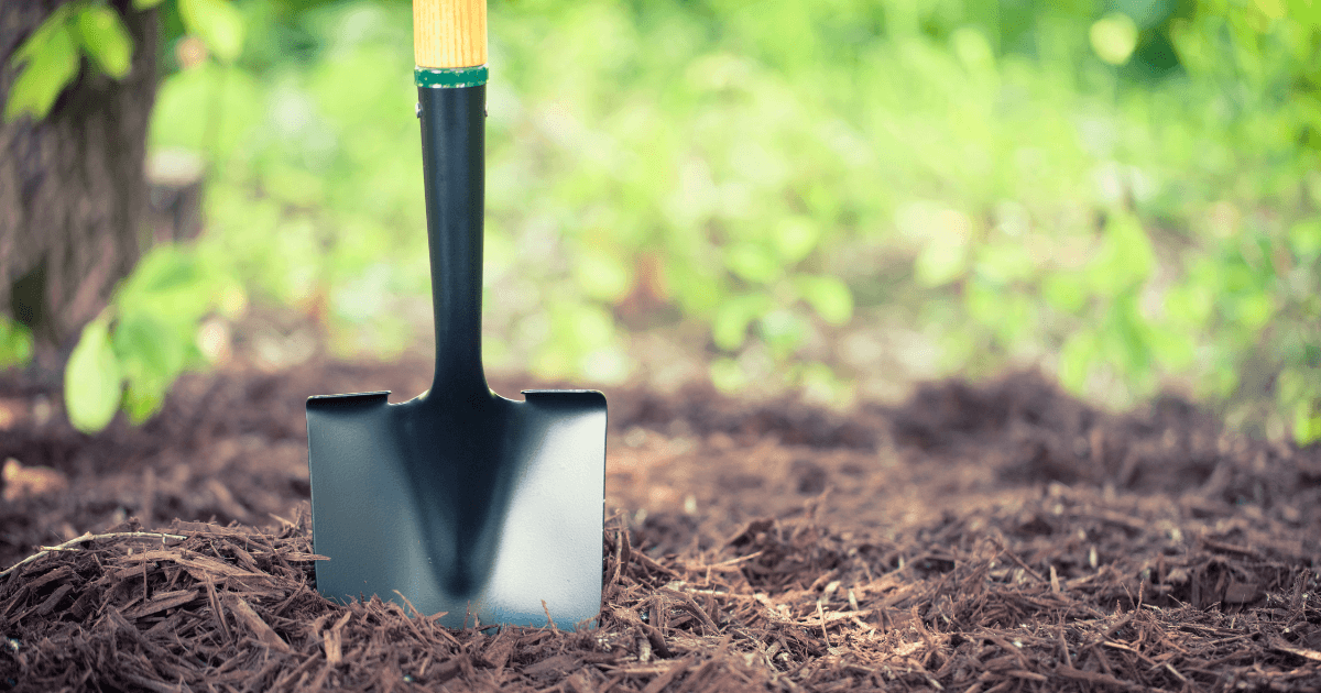5+ Mulching Tips to Keep Your Property Looking Neat and Clean ...